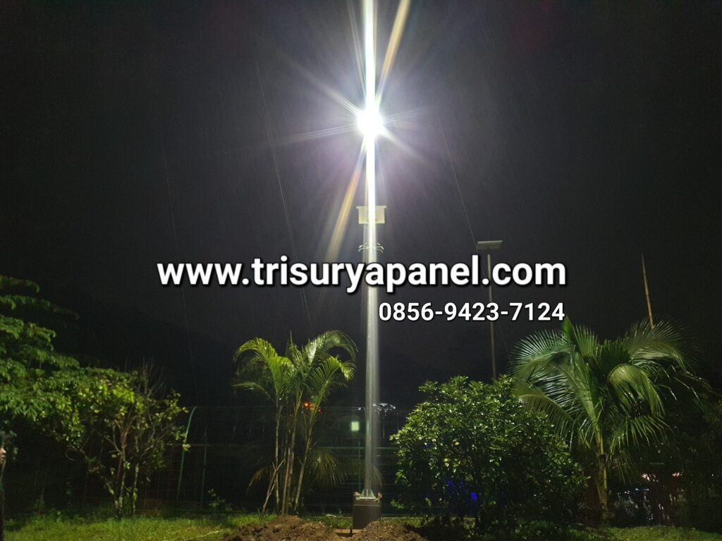 PJU Tenaga Surya Osram 60 Watt - Tri Surya Panel